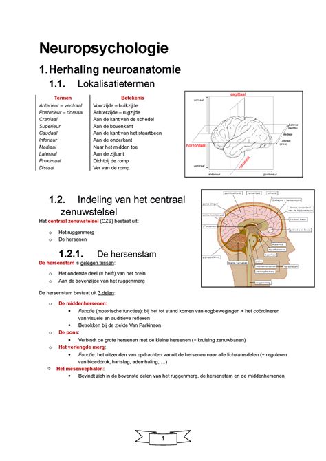 Sm Neuro Samenvatting 2de Jaar Bachelor Toegepaste Psychologie Te