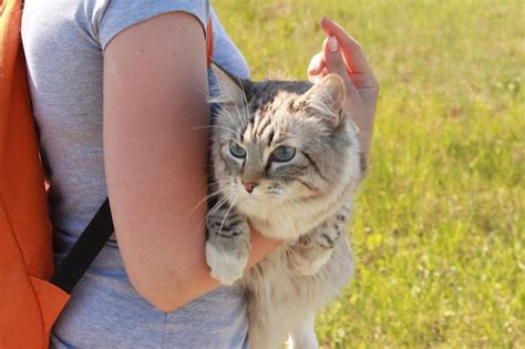 Premium Photo A Woman Holding A Cat In Her Arms
