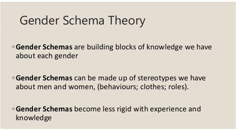 Gender Schema Theory Definition Explanation