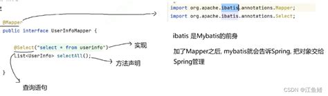 mybatis 的操作 续集