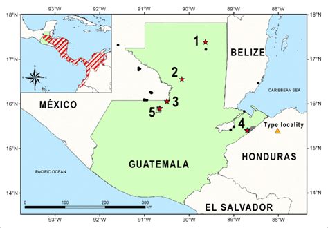 Naked Guatemala Telegraph