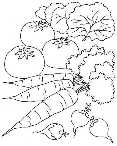 Mais De Desenhos De Frutas E Vegetais Para Colorir Os Desenhos Do The