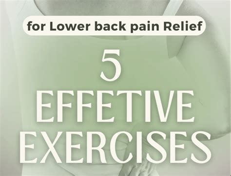 5 Effective Lower Back Pain Relief Exercises York Rehab Clinic