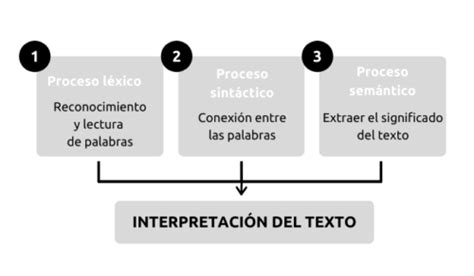 Etapas Clave de la Lectoescritura Características y Niveles
