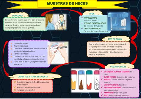 Muestras DE Heces CONCEPTO MUESTRAS DE HECES TIPOS TEST DE GRAJA