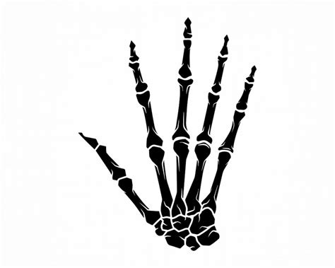 Middle Fingers Svg Skeleton Hand Eps Middle Finger Clipart Etsy Porn
