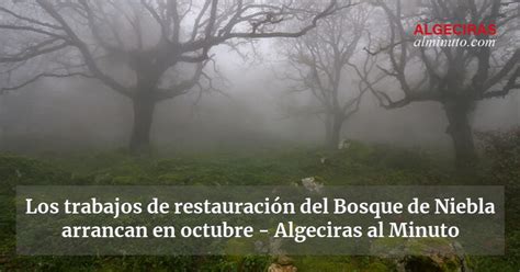 Los trabajos de restauración del Bosque de Niebla arrancan en octubre