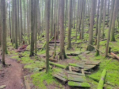 Best Hiking Images On Pholder Earth Porn Hiking And Aww