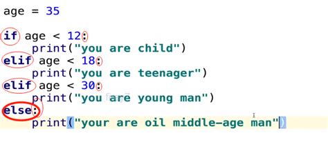 学习笔记 02 python入门教程 多分支if…elif…else语法 csdn博客
