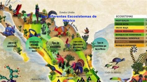 Ecosistemas De Mexico