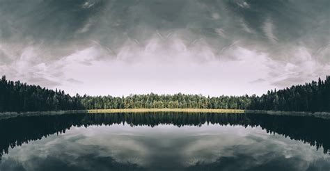 Free Images Landscape Tree Nature Forest Horizon Wilderness