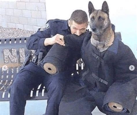 El perro Que está pasando Meme subido por JuanPaf Memedroid
