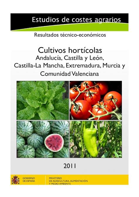 PDF Cultivos hortícolas 2020 8 6 El presente informe recoge la