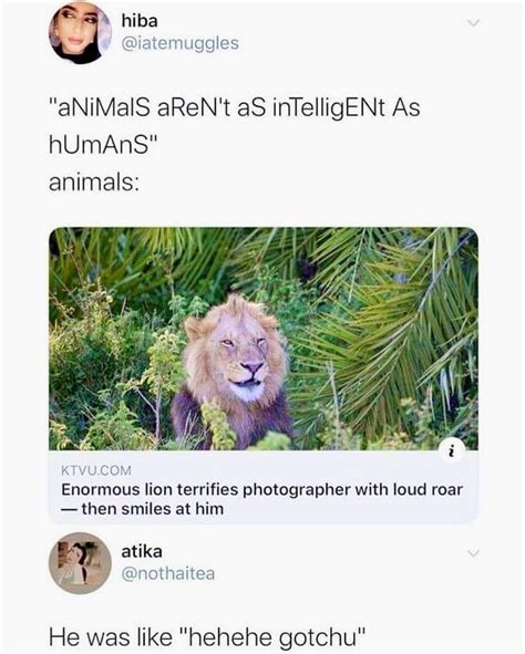 Memedroid The Best Site To See Rate And Share Funny Memes And Pics