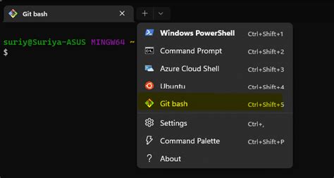 Paul Isaris A Developer S Journey Make Windows Terminal Awesome