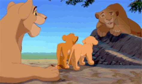 Simba Cachorro Wiki El rey León Amino Amino