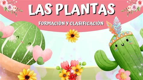 LAS PLANTAS características formación y clasificación YouTube