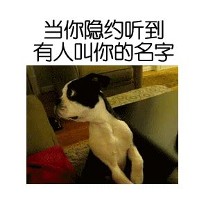 叫我图片 叫我动态图 叫我表情包gif动图下载 SOOGIF