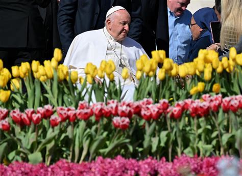 Papa Francisco Envia Mensagem Por Anos De Ag Ncia T Lam Vaticano