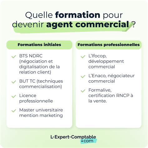 Les Tapes Pour Devenir Agent Commercial Tout Est L