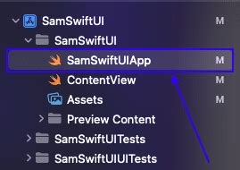 How To Initialize StateObject With Parameters In SwiftUI CodeSpeedy