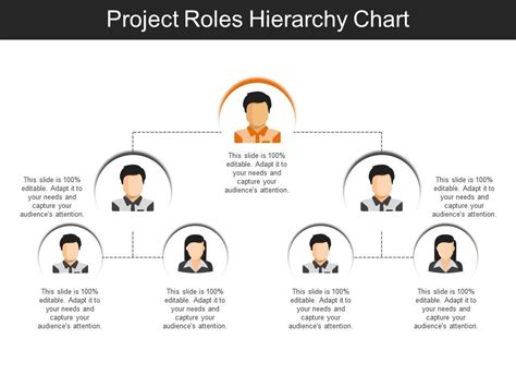 Project Roles Hierarchy Chart Sample Of Ppt Presentation Powerpoint