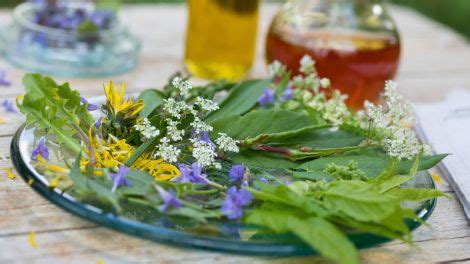 Rezepte für Kräuterküche Heilende Wirkung der Kräuter rbb