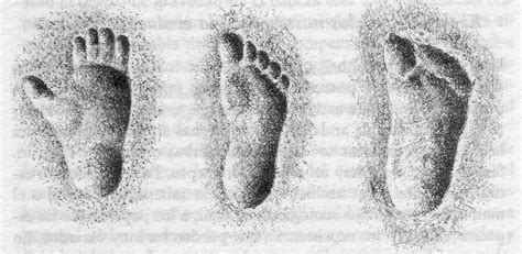 Viaje A La Historia David G Mez Lucas Im Genes Prehistoria