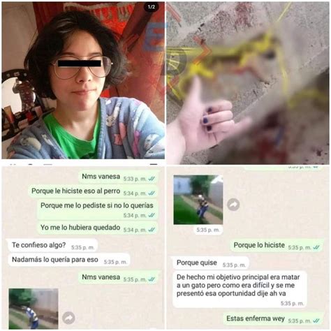 Justicia Para Huellitas Ya Hay Denuncia Formal Contra Joven Que