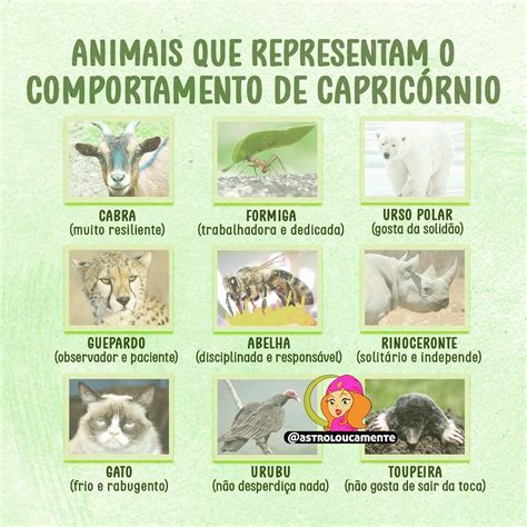 16 mil curtidas 600 comentários Astroloucamente por signos