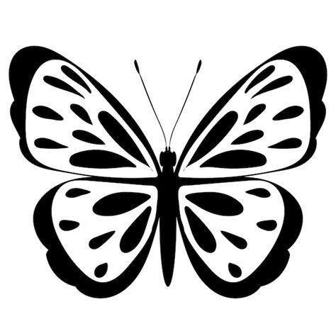 Silueta De Mariposa En Blanco Y Negro Sobre Un Fondo Blanco Aislado