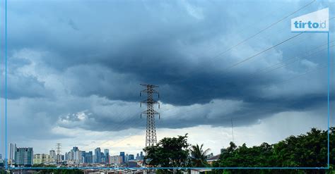 Akibat Hujan Angin Sejumlah Pohon Tumbang Di Jakarta Pusat