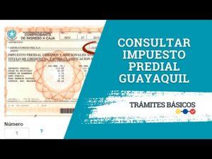 Consulta Y Pago Del Impuesto Predial En Guayaquil ECUADOR