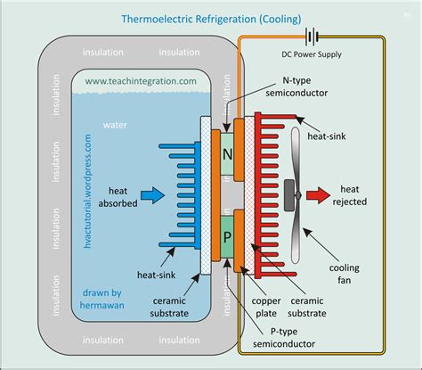 Coleman Thermoelectric Cooler Wiring Diagram Wiring Diagram Pictures
