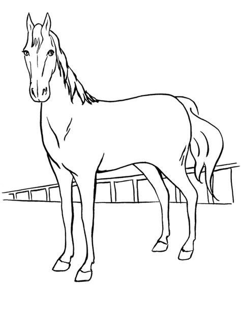 Disegni Da Colorare I Cavalli