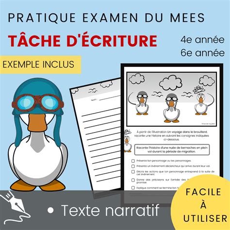 Préparation Examen MEES Épreuve 4e année