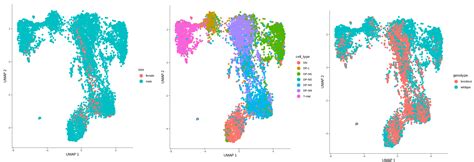 hands on inferring single cell trajectories monocle3 single cell