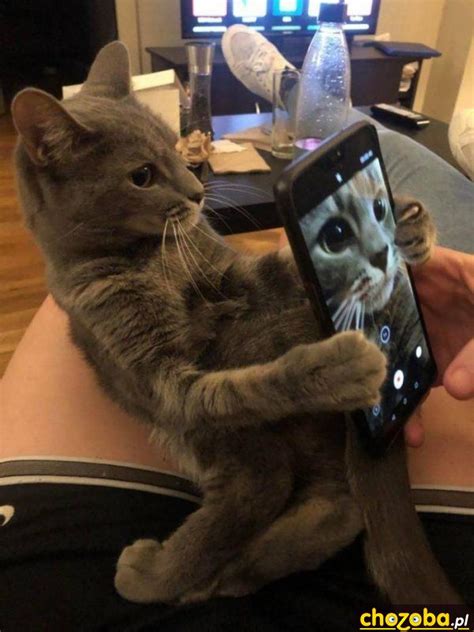 Robię sobie selfie ChoZoba pl śmieszne obrazki gify filmy