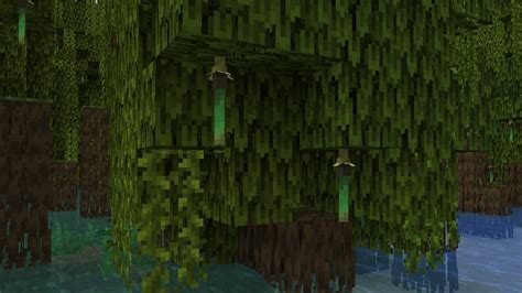 How To Grow Mangrove Trees In Minecraft Easy Step By Step