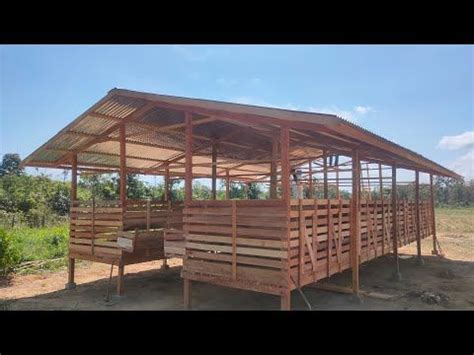 Pembuatan Kandang Kambing Spek Breeding Breeding Goat Cage