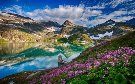 Landscape Mountain Lake Flowers Reflection Wallpapers HD Desktop