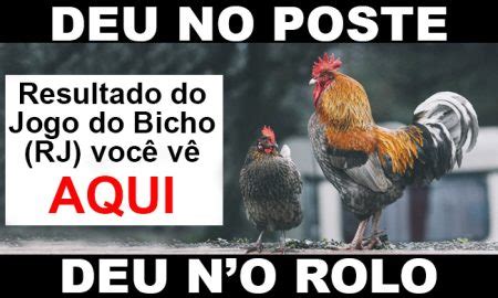 Resultado Do Jogo Do Bicho Deu No Poste Hoje