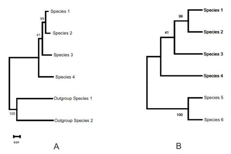 phylogenetic tree maker easy jude combs