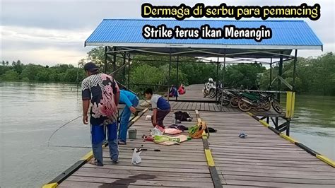 Mancing Di Dermaga Strike Ikan Besar YouTube