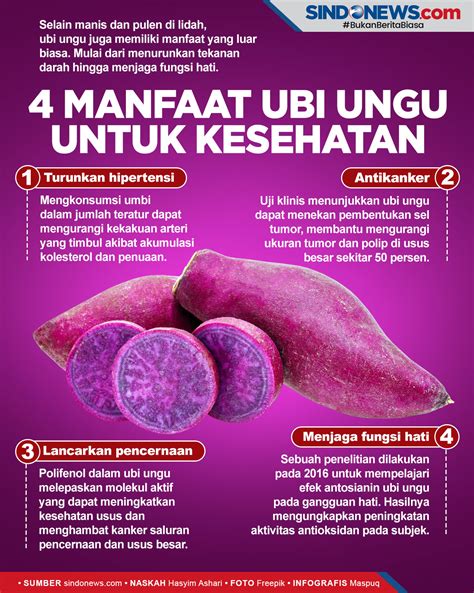 Selain Manis Ini Empat Manfaat Ubi Ungu Untuk Kesehatan Tubuh News