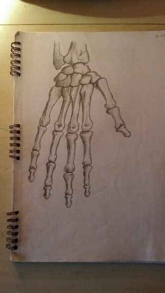 Disegni A Matita Semplici Tumblr Disegni Hd