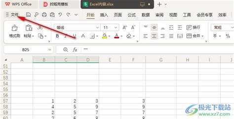 WPS Excel如何更改网格线颜色 WPS Excel更改网格线颜色的方法 极光下载站