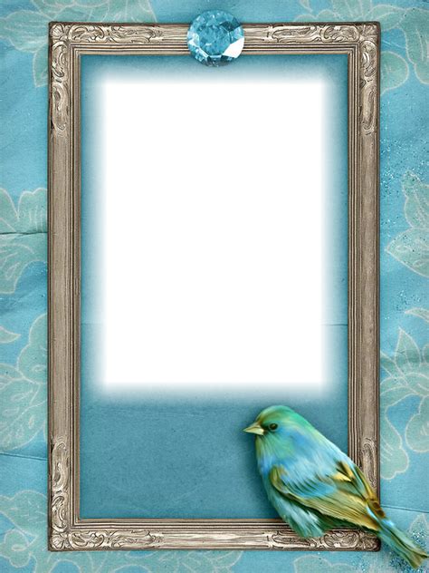 Cadre Bleu Oiseau Montaje Fotografico Pixiz