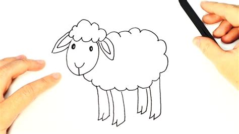 Cómo dibujar una Oveja para niños Dibujo fácil de una Oveja paso a