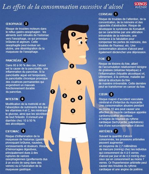 Infographie Quels Sont Les Effets D Une Forte Consommation D Alcool